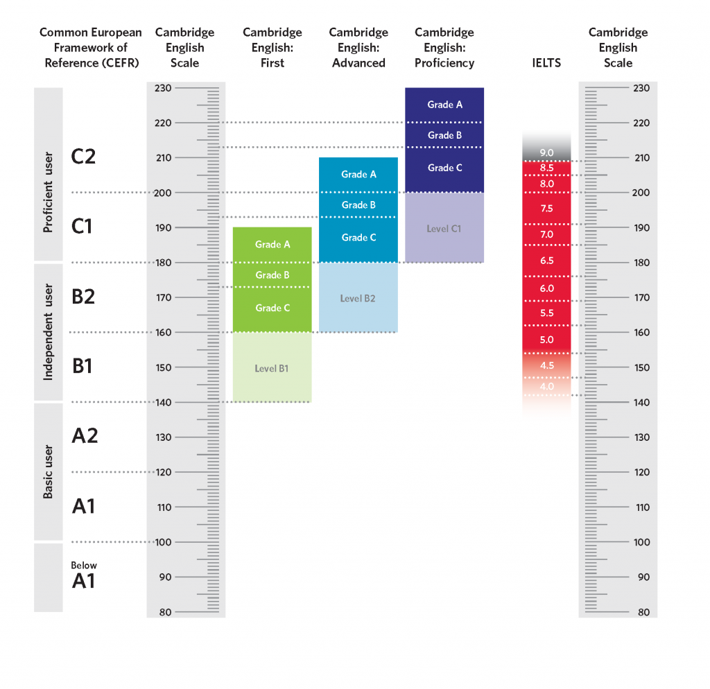 Esame Cambridge o Ielts? – The Cambridge School
